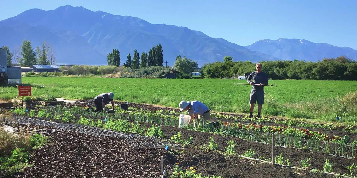 Arkansas EarthKeeper: Elizabeth McCormick - Arkansas Conference of the ...